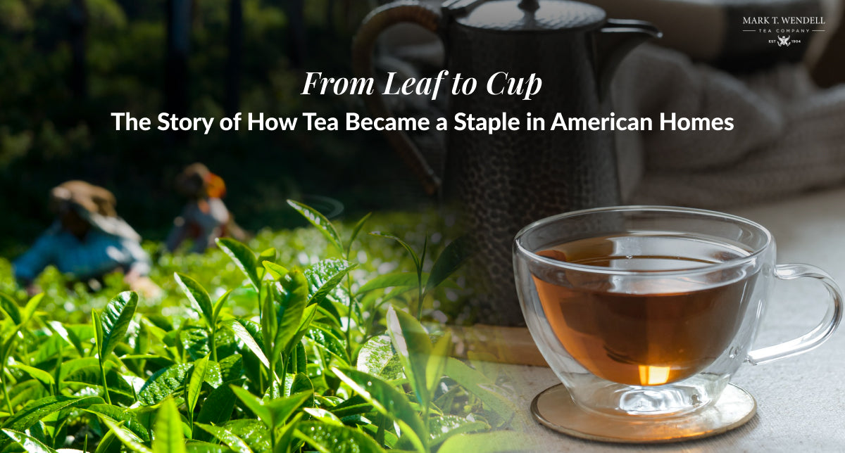 From Leaf to Cup: Tea’s Journey Into American Homes
